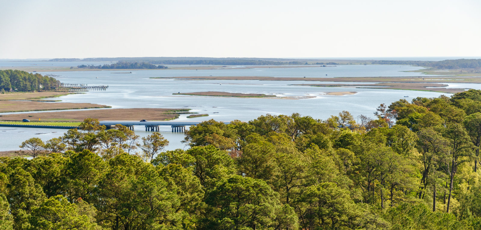 Who We Are | Oasis Digital Properties